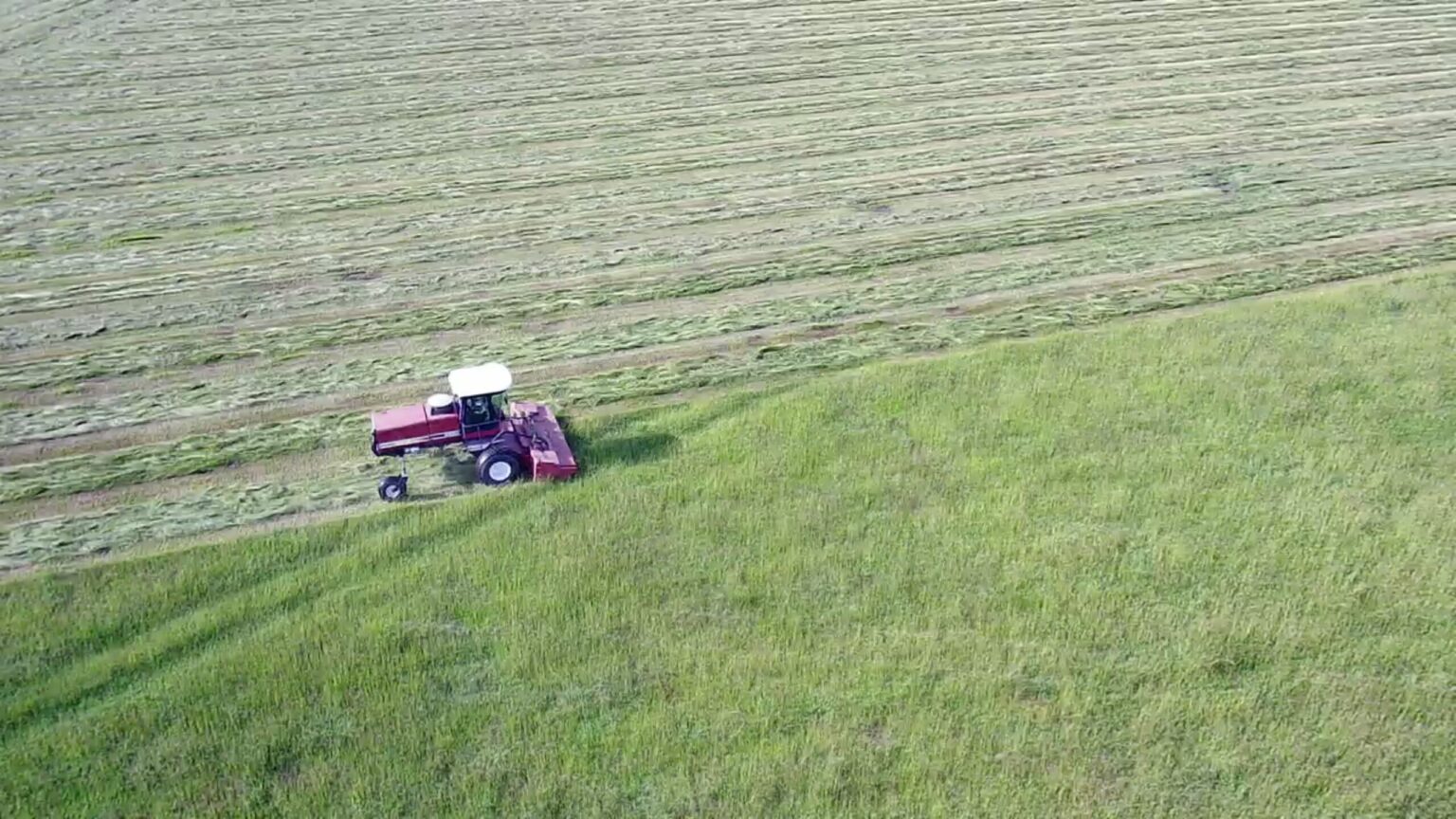 Bahia Grass Hay - Huntsville, Texas - AllHay.com
