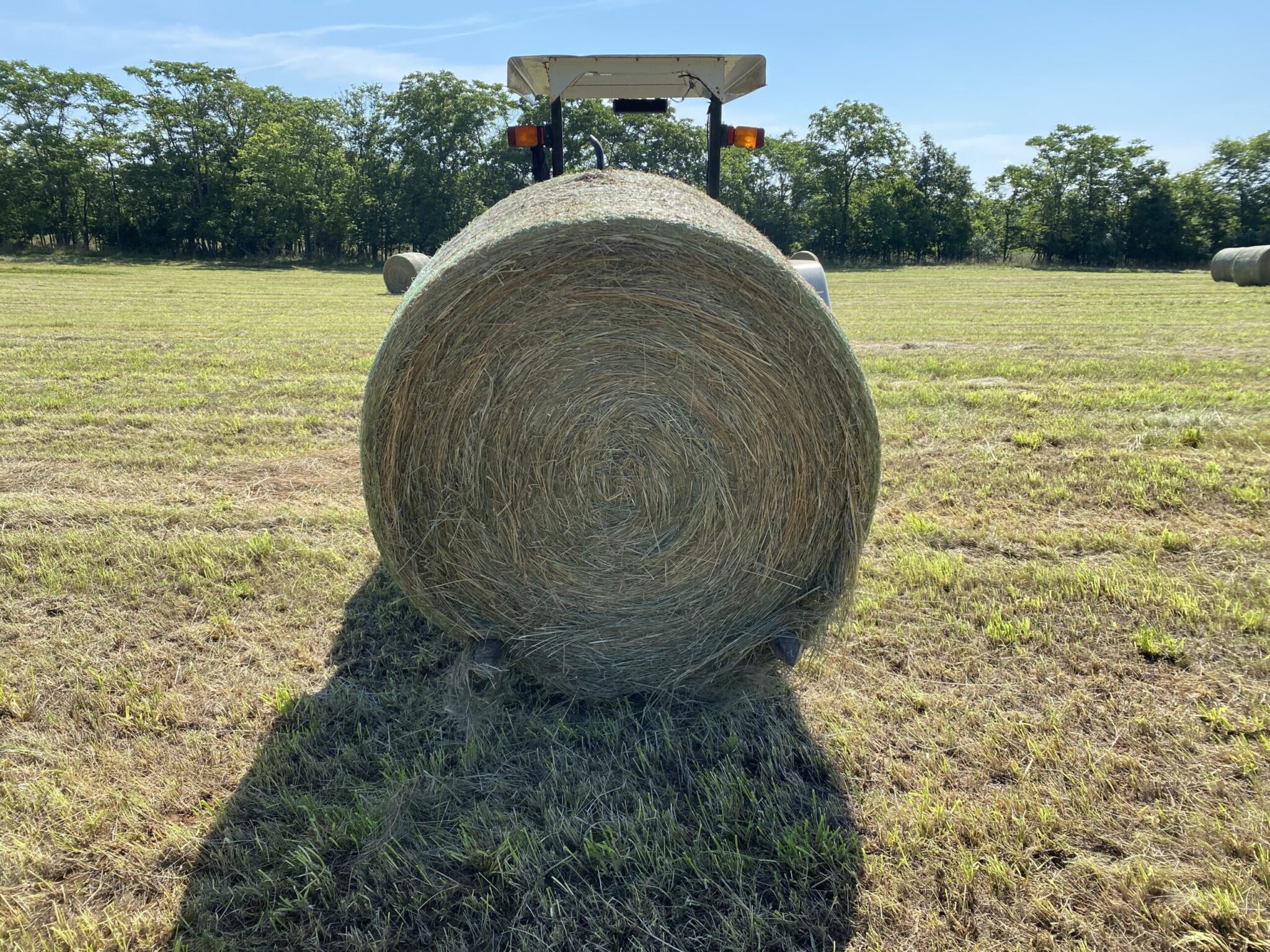 Hay For Sale in Virginia - AllHay.com