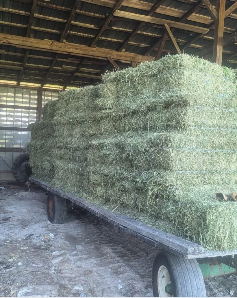 Hay For Sale in Kentucky - AllHay.com