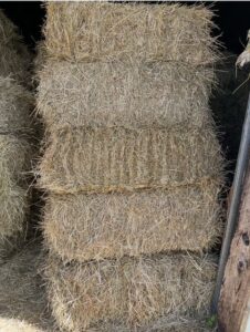 Hay Listings - AllHay.com