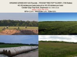 Hay for Sale | AllHay.com