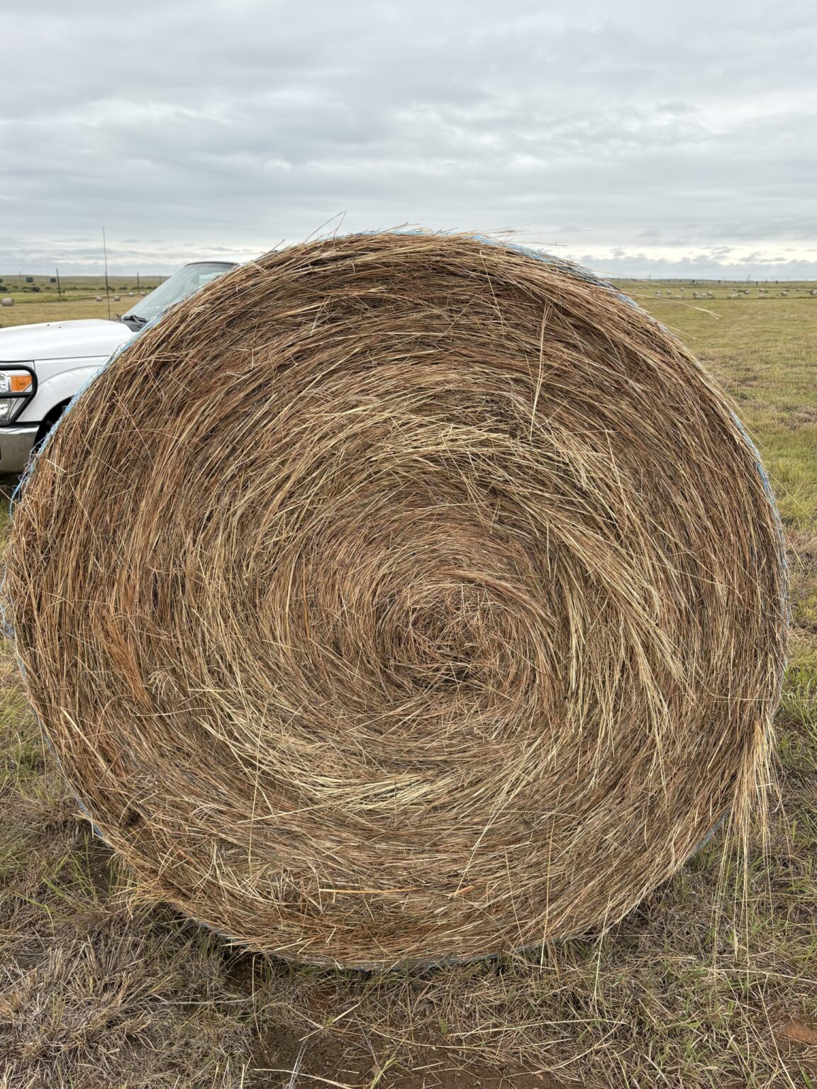 Hay Listings - AllHay.com