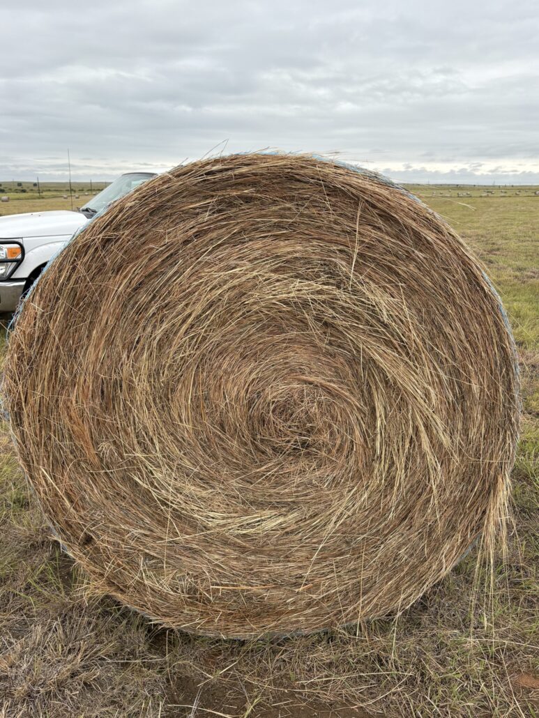 Hay Listings - AllHay.com