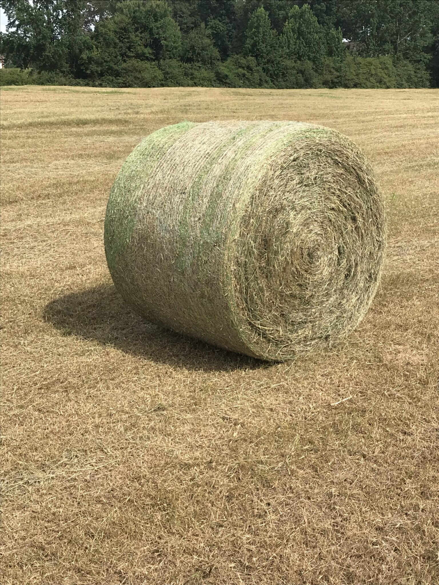 Hay Listings - AllHay.com